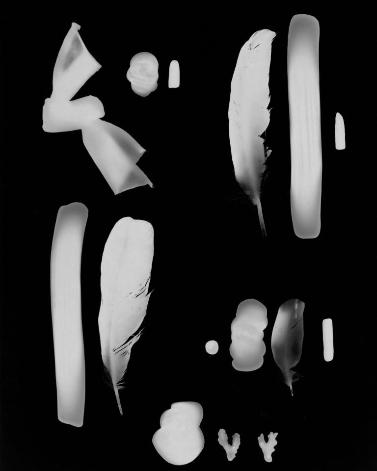 Photogrammes – Gabrielle Manglou