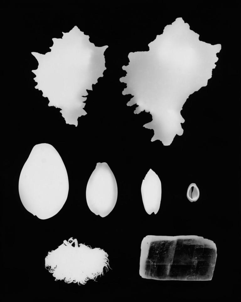 Photogrammes – Gabrielle Manglou