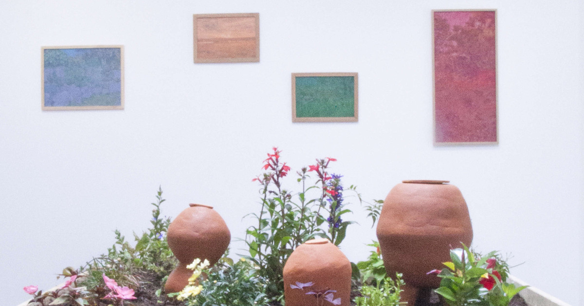 La terre a-t-elle couvé ce jardin de couleur ? – Gwenn Mérel