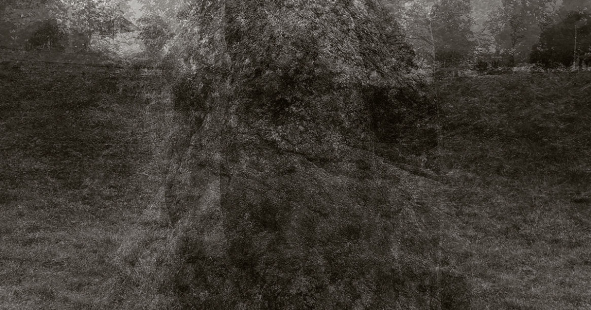 Sites – Jean-Marc Nicolas