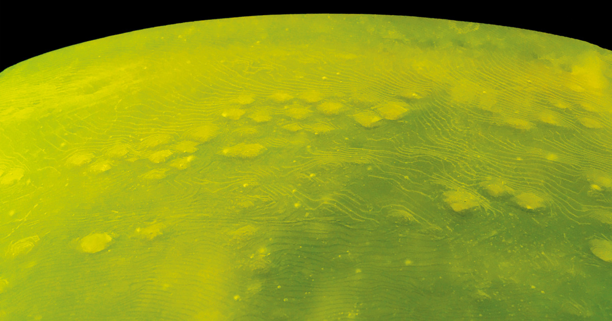 Yucca Flat – Jonas Delhaye